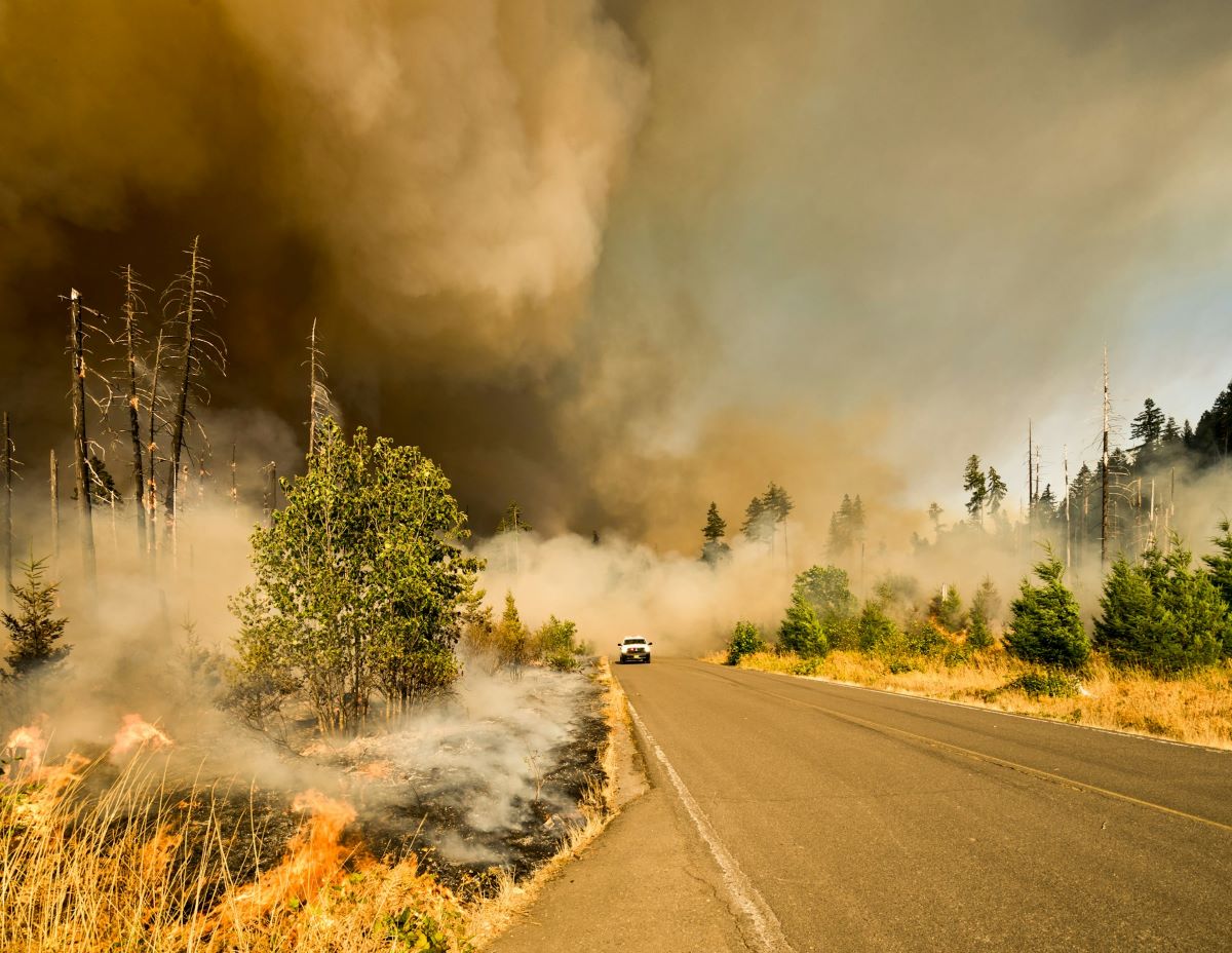 How to Prepare Your Home and Family for Wildfire Evacuation - Mommy Kat ...